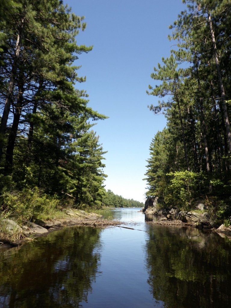 Gun Lake Solo Canoe Trip – Mythic Lion Man