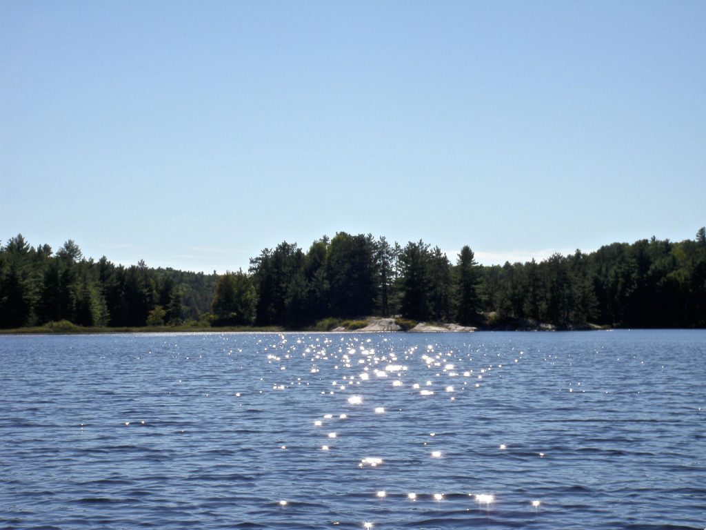 Gun Lake Solo Canoe Trip – Mythic Lion Man