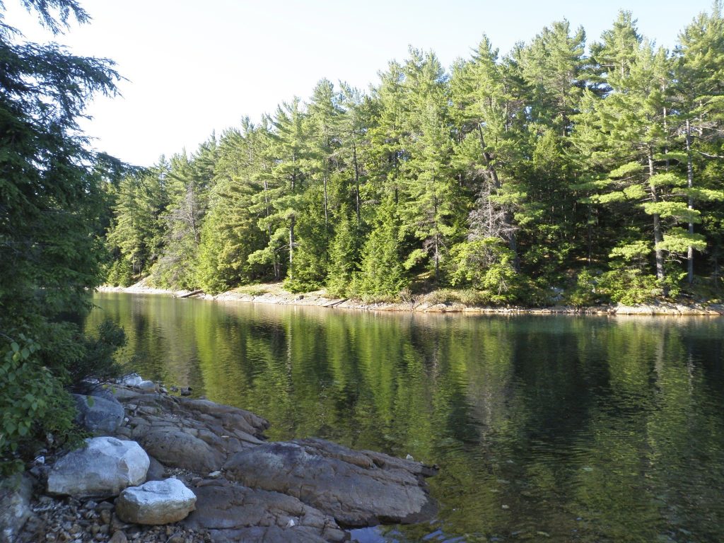Threenarrows Lake Loop – Mythic Lion Man