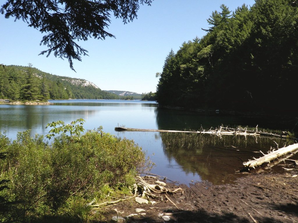 Threenarrows Lake Loop – Mythic Lion Man