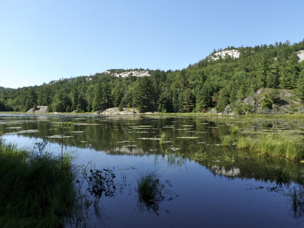 Threenarrows Lake Loop – Mythic Lion Man